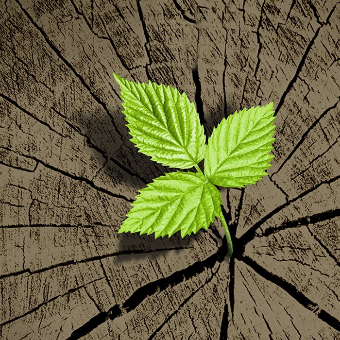 Company Background | EnerSys